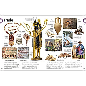 Our World in Pictures: An Encyclopedia of Everything (DK Our World in Pictures)