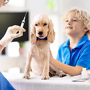 100 Pack 18 Gauge 1 1/2 Inch Lab Accessories, Individually Packaged.