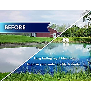 Pond Worx Blue Lake and Pond Dye - 4X Concentrated Liquid Pond Colorant – Shades and Protects Your Pond, Treats up to 1 Acre –1 Quart