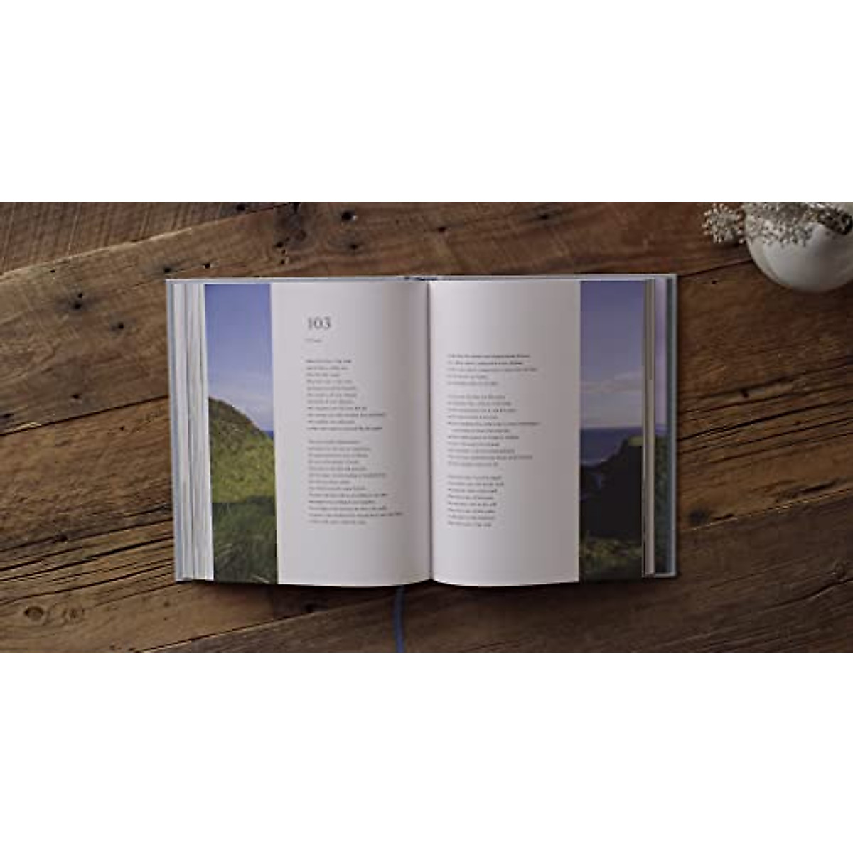 ESV Psalms, Photography Edition (Hardcover)