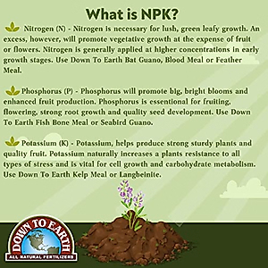 Down to Earth Organic Alfalfa Meal Fertilizer Mix 2-0-1, 4 lb