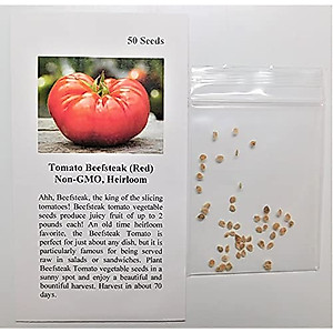 David's Garden Seeds Tomato Determinate Beefsteak 8472 (Red) 25 Non-GMO, Heirloom Seeds