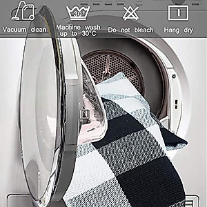 Carvapet Buffalo Checkered Area Rug Black White Checkered Carpet Buffalo Plaid Rugs 36x51 Inch Runner Indoor and Outdoor Welcome Doormat for Entryway,Porch, Kitchen, Bathroom