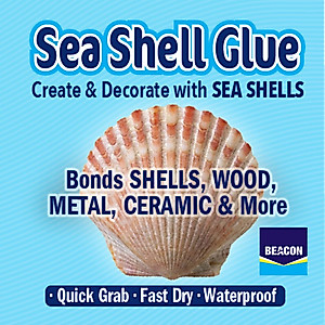 BEACON Sea Shell Glue for Creating and Decorating with Shells, Wood, Metal, Ceramic, and More, 2-Ounce, 1-Pack