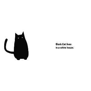 Black Cat & White Cat: A High Contrast Sensory Board Book About Opposites For Newborns and Babies
