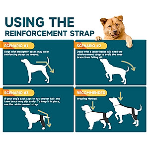 Virbraroo Dog Leg Brace for Torn Acl Hind Leg,8X Support Dog Knee Brace with Metal Strips for Joint Pain Relief, Rear Leg Brace with Adjustable Traction Belt for Cruciate Ligament Injury (L)