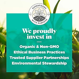 Navitas Organics Matcha Latte, 11.1oz Value Size Bag, 35 Servings — Organic, Non-GMO, Dairy-Free