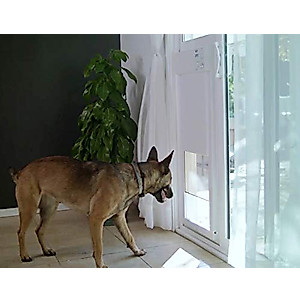 Power Pet Large Electronic Pet Door PX-2