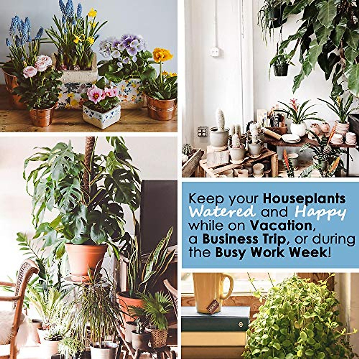 Retain by Rain Soil – 22 Oz – Water Holding Polymer Crystals Soil Additive – Store Up to 7 Gallons of Water for House & Garden Plants, Hanging Baskets – Reduce Watering Frequency