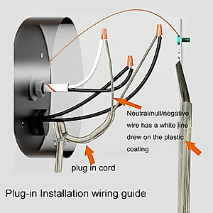 DANSEER Edison Brass Wall Sconces Set of Two Sconce Plug in with Switch Swing arm