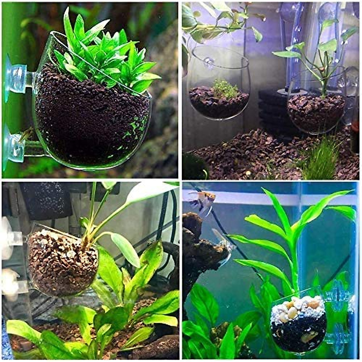 Suction Cup Planter, 4Pcs Magnetic Suction Cup Window Aquarium, Glass Vase Plant Pots Decorations Fish Tank for Aquascape Aquarium