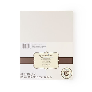 MICHAELS Shimmer Silver & Champagne 8.5”; x 11”; Cardstock Paper by Recollections®, 100 Sheets
