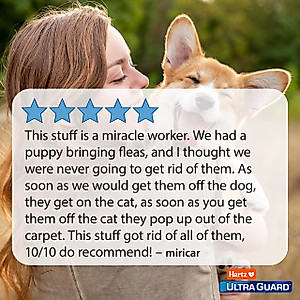 Hartz UltraGuard Plus Flea & Tick Home Spray, Kills Fleas and Ticks, Clean Fresh Scent, 16 Ounce