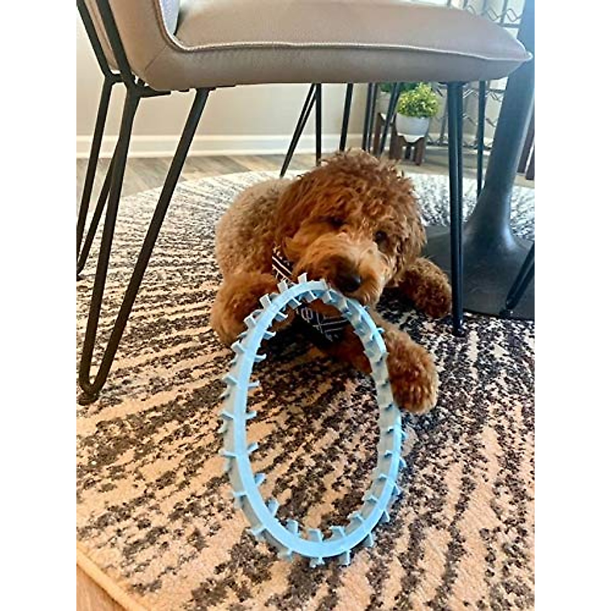 DentapupⓇ Dental Dog Toy Cleaning Teething Chew Ring with Teeth for Medium to Large Breed Dogs - Tartar & Plaque Remover, Gum Massager & Mouth Cleaner for Fresh Breath, Made in USA - Pink