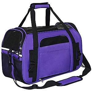 EliteField Soft Sided Pet Carrier (3 Year Warranty, Airline Approved), Multiple Sizes and Colors Available (Large: 19" L x 10" W x 13" H, Purple)