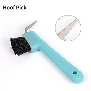 RupXinSplend Horse Grooming Kit 11pcs-Portable - Horse Brushes Set & Curry Combs, Sweat Scraper, Grooming Gloves, Hoof Pick, Hoof Knife, Horse Care Kit Equine Grooming Tool Set Horse Kit for Horse Cleaning Blue Tote