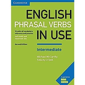 English Phrasal Verbs in Use Intermediate Book with Answers: Vocabulary Reference and Practice (Vocabulary in Use)
