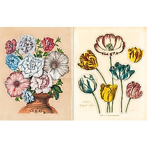 John Derian Sticker Book (John Derian Paper Goods)