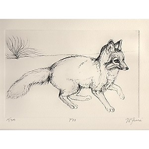 Fox