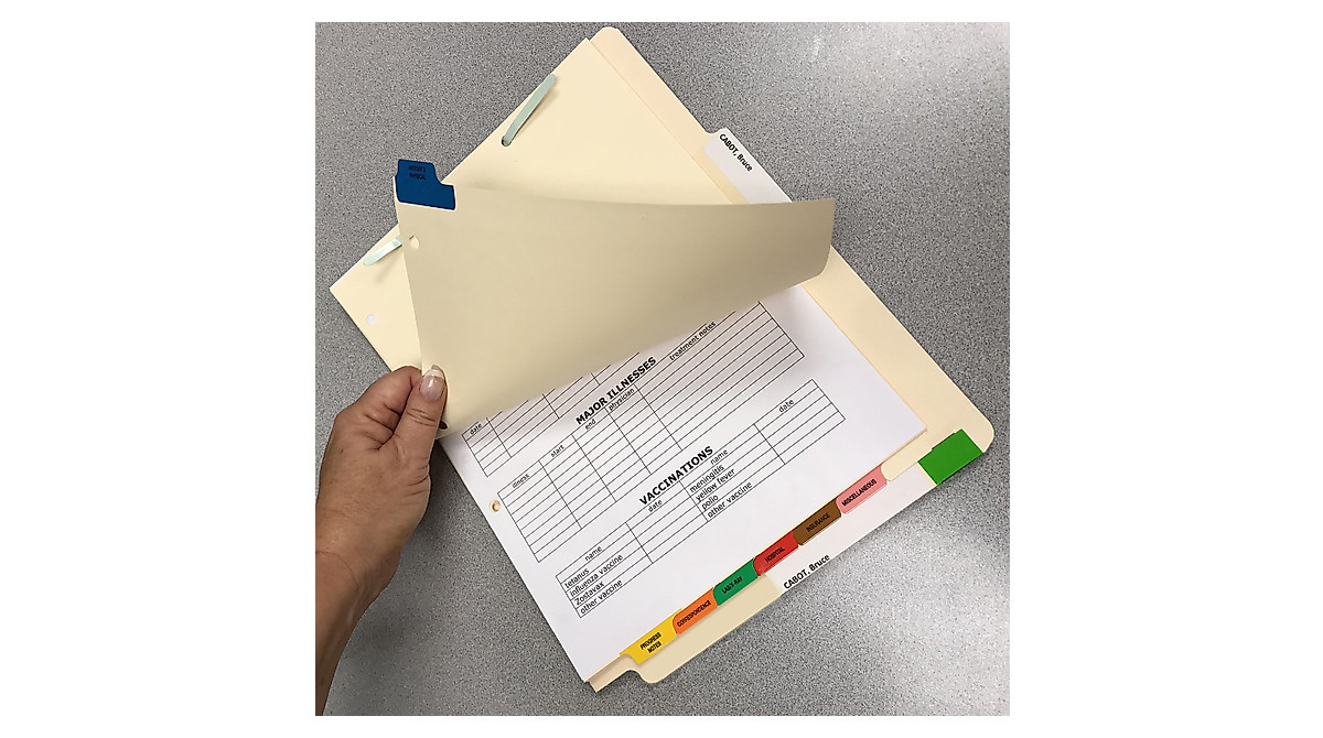 Tabbies 8-Bottom Tab Medical Chart Index Set for Healthcare Records