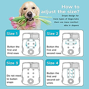 Paw Legend Washable Reusable Female Dog Diapers - No Leak Doggie Diapers for Heat Cycle (3 Pack,Adorable,Small)