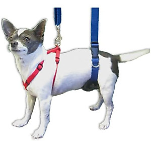 GINGERLEAD Dog Sling Hip Support Harness, X-Small Fits Little Pets Under 25 lbs and Dachshunds with IVDD, Spinal Disc Disease, or Back Injuries. Assist Elderly, Paralyzed, or Recovering Pets.