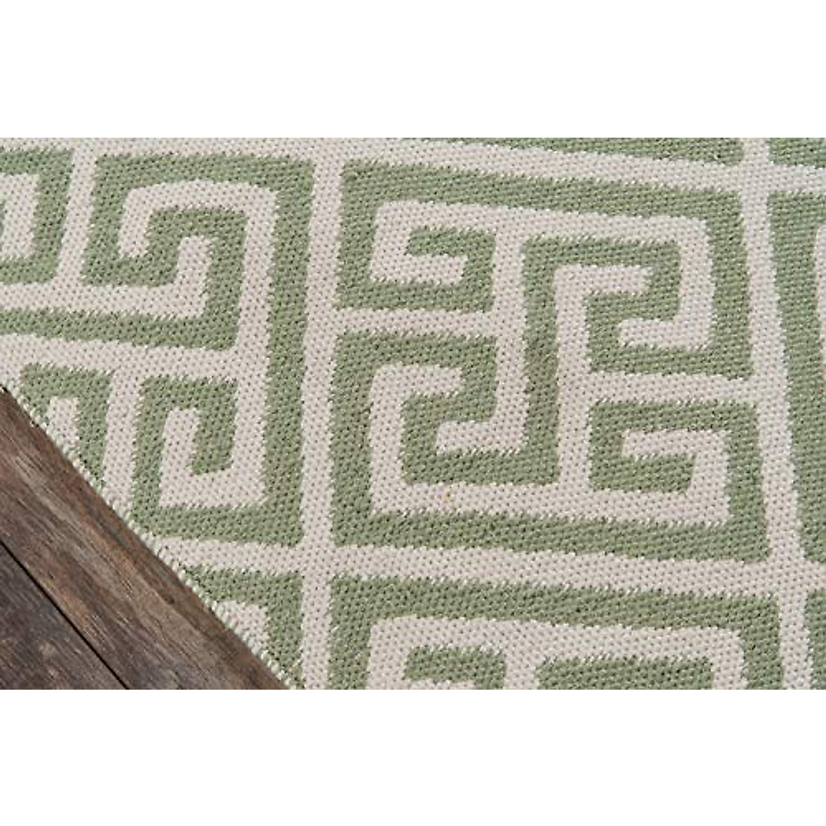 Madcap Cottage Palm Beach Brazilian Avenue Area, Indoor Outdoor Rug, 3'6" X 5'6", Green