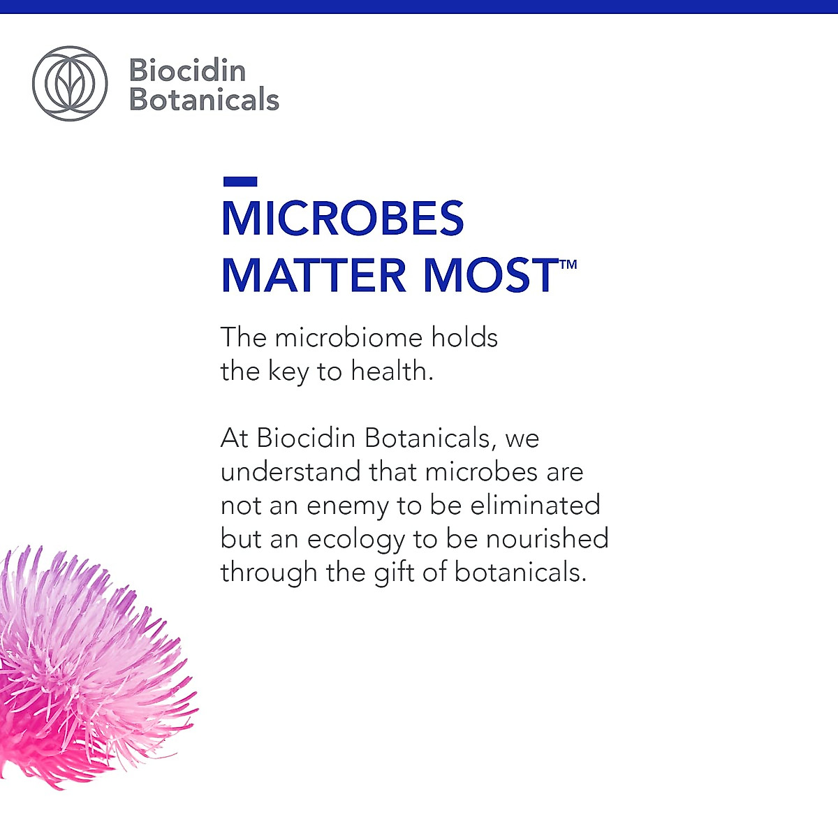 Biocidin Capsules - Gut Cleanse Process & Immune Support Supplement - Supportive Biofilm Disruptor - Promote Digestive Health & Microbial Balance - 18 Botanical Blend (90 Vegan Capsules)