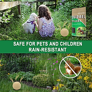 SUAVEC Squirrel Repellent, Chipmunk Repellent, Squirrel Deterrent Peppermint, Outdoor Squirrel Repellents for Garden, Indoor Repellent Squirrels for Attic, Keep Squirrel Away for Plants -8 Pack