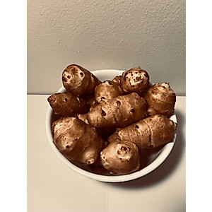 Sunchokes - 5 pounds (5 lbs) for Planting or Eating FEDEX 2Day