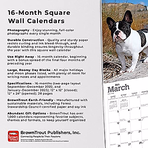 French Bulldogs | 2023 12 x 24 Inch Monthly Square Wall Calendar | BrownTrout | Animals Dog Breeds DogDays