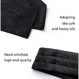 HISDERN Cravat Ties for Men with Pocket Square Casual Paisley Ascot Self Tie Scarf Handkerchief Set for Business Prom