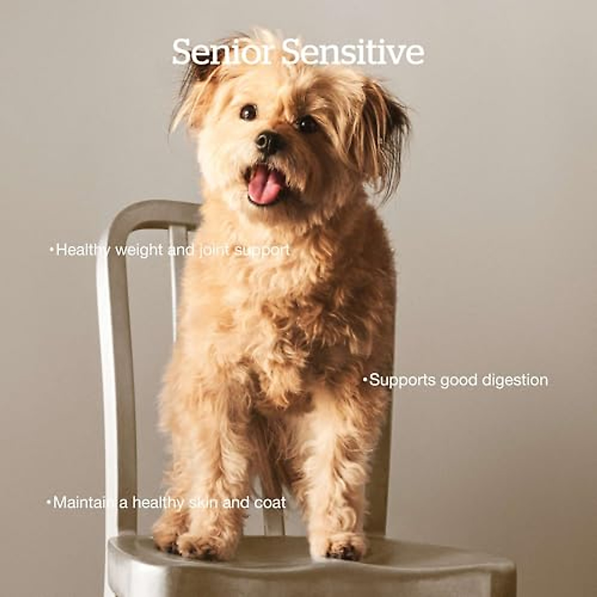 Now Fresh Grain-Free, Dry Dog Food, Real Meat and Fish, Turkey, Salmon and Duck Senior Recipe, All Breed Size, 3.5 lb Bag