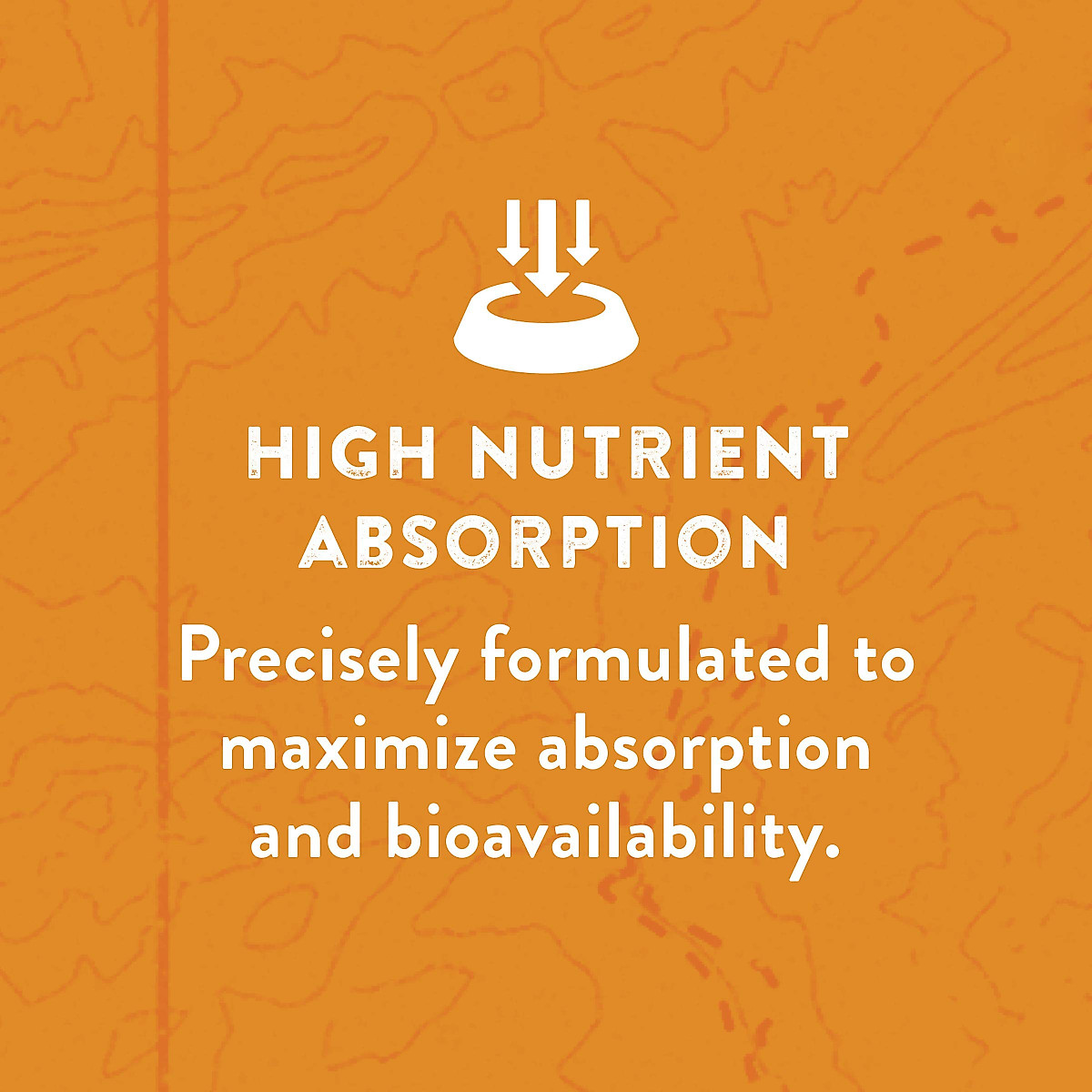 Zukes Mini Naturals Dog Training Treats for Dogs, Pet Treats Made with Real Turkey and Pumpkin, 5 oz. Resealable Pouch - 5 oz. Bag