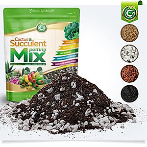 Organic Cactus & Succulent Mix - Made in USA with Premium Grade Ingredients - Coco Peat Humus • Perlite • Sand • Horticultural Charcoal to Filter Toxins and Improve Plant Growth