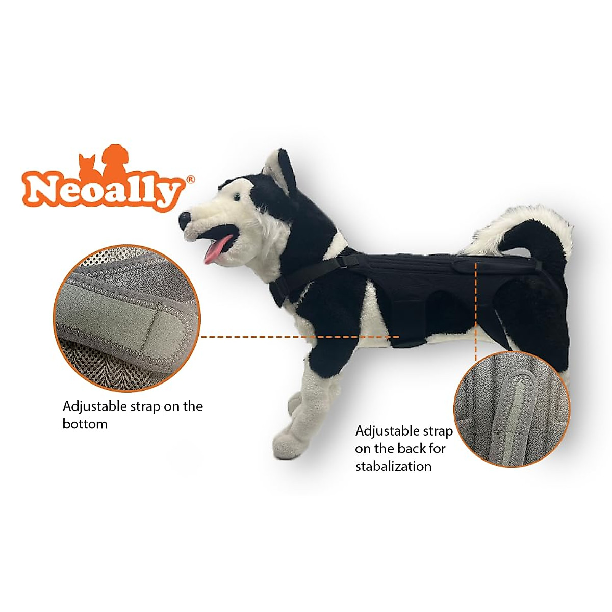 NeoAlly Dog Back Brace for Dogs Arthritis, IVDD, Spinal Surgical Recovery, and Back Disease Prevention (Extra Large)