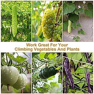 BetyBedy 5 x 15FT Trellis Netting, Heavy-Duty Polyester Plant Trellis Netting, Square Mesh Net for Climbing Plant, Fruits, Vegetables, Vines, Grow Tents (1 Pack, White)