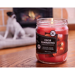 Mcintosh Apple Odor Eliminating Highly Fragranced Candle - Eliminates 95% of Pet, Smoke, Food, and Other Smells Quickly - Up to 80 Hour Burn time - 12 Ounce Premium Soy Blend