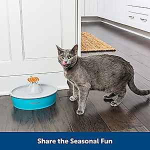 PetSafe Butterfly Fountain Seasonal Toppers 3 Pack - Cat Water Dispenser Accessories - Seasonal Pet Supplies - Includes Sun, Pumpkin, & Snowman Toppers - Celebrate Every Season - Cool & Cute Stuff