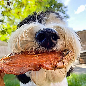 Sweet Potato Slices - Dog Treats - Single Ingredient Grain Free for Dogs, Best High Anti-Oxidant Healthy 100% Natural Thick Cut Dried Sweet Potato Dog Treats With No Added Preservatives (8oz)