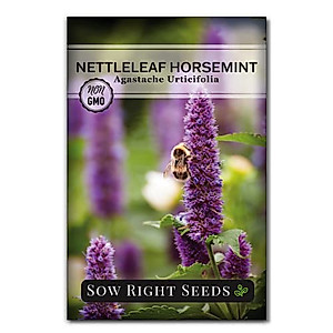 Sow Right Seeds - Mint Garden Seed Collection - Peppermint, Mint, Bergamot, Horsemint, and Lemon Balm - Non-GMO Heirloom Seeds with Instructions for Planting Indoors or Outdoors - Great Gardening Gift