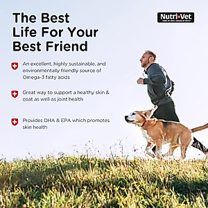 Nutri-Vet Fish Oil - Dog Skin & Coat Supplement - Omega 3 Fish Oil - Promotes Joint Health - 12oz