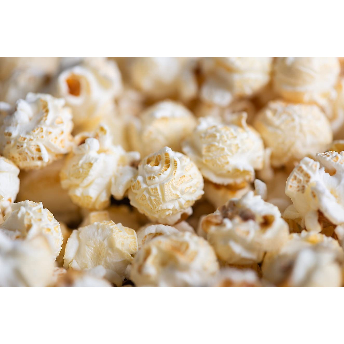 Mushroom Popcorn kernels by Medley Hills farm in Reusable Container 1.7 Lbs. - Gourmet popcorn kernels for popcorn machine - Gluten Free - Non GMO