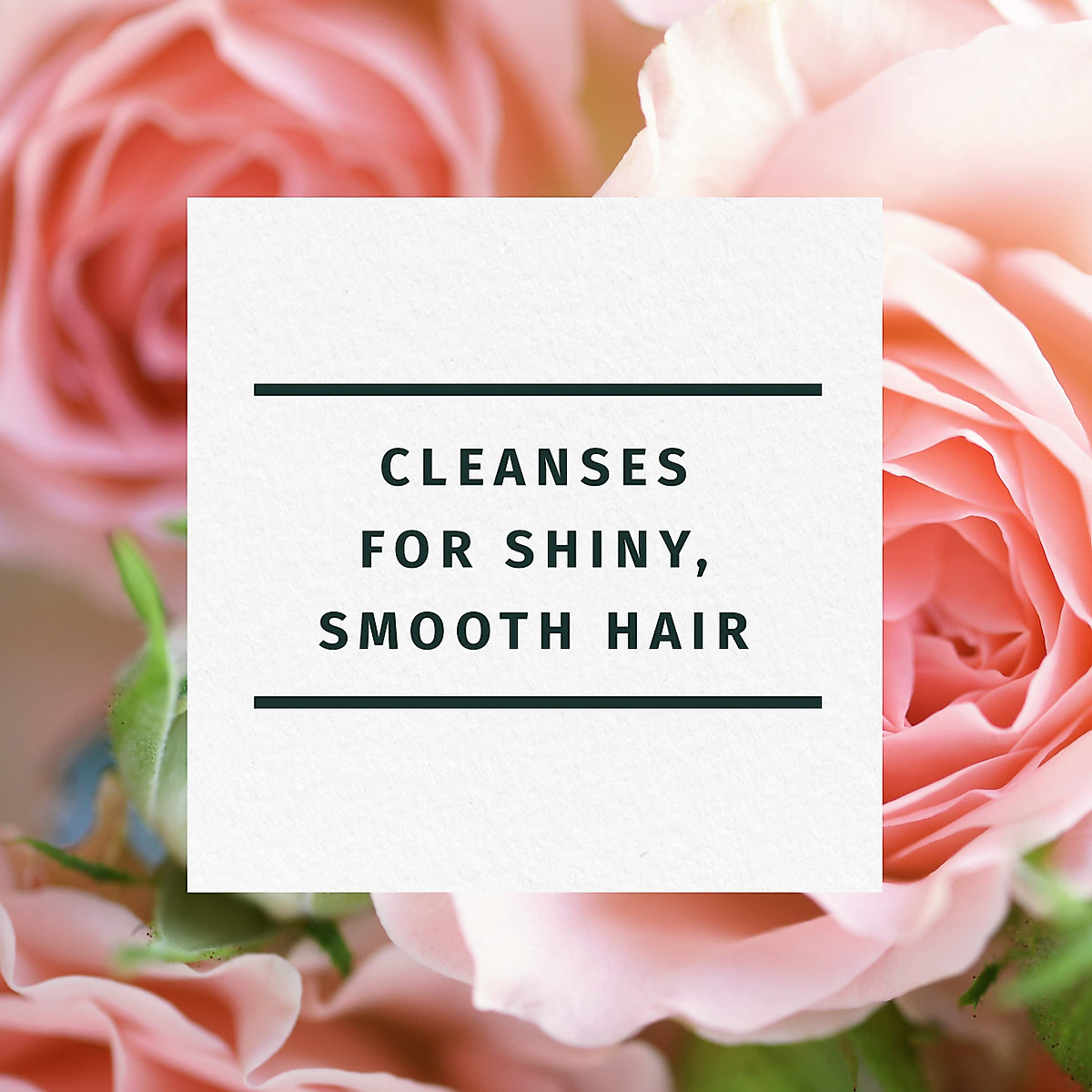 Herbal Essences Rose Hips Smooth Shampoo, 13.5 Fl Oz, 5.527 Fl Oz