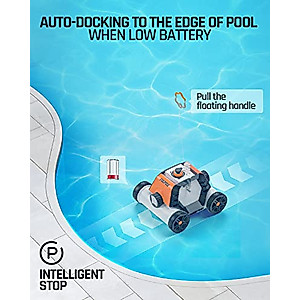 FIILPOW 82 FT Garden Hose Reel & Automatic Pool Cleaner