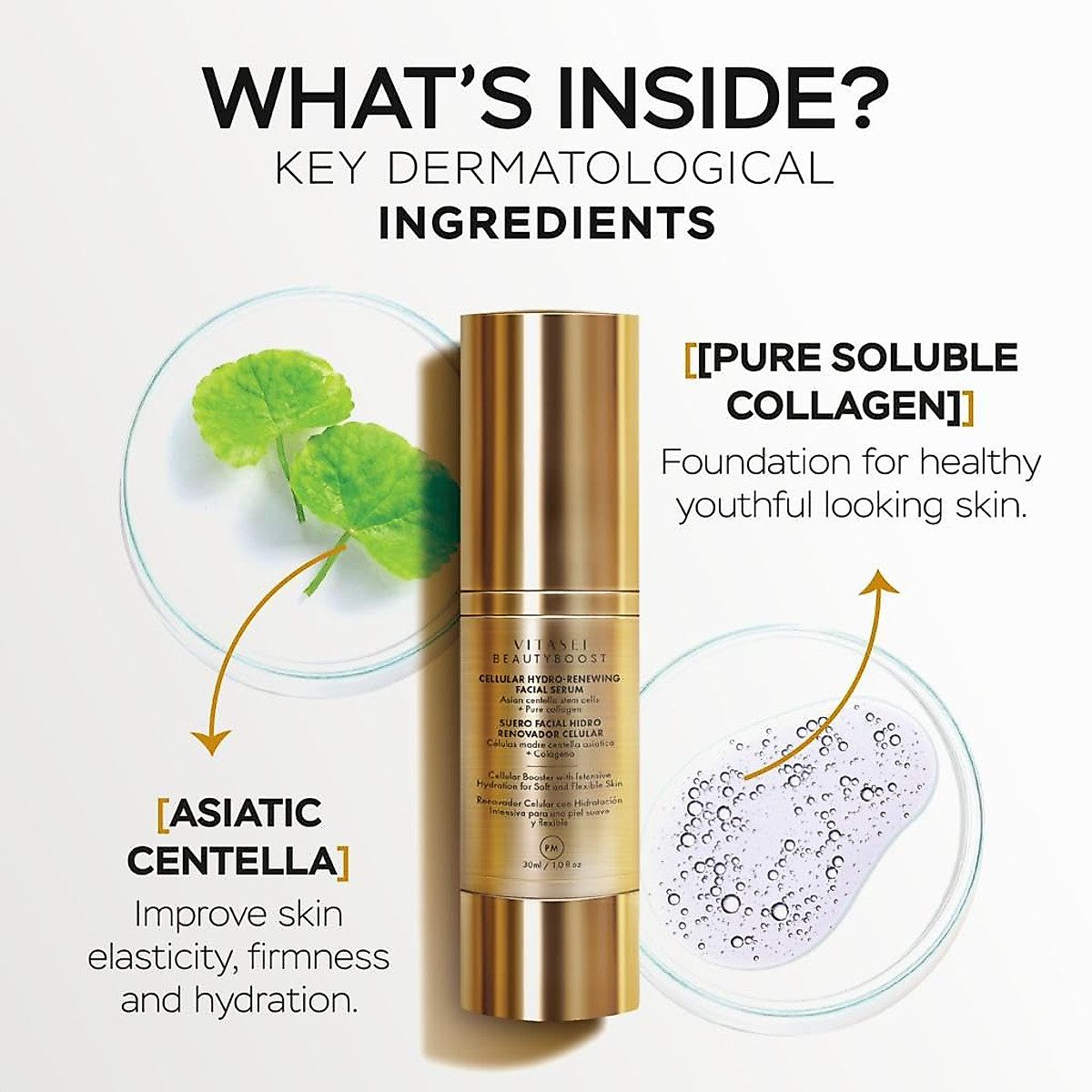 VITASEI Beauty Boost Facial Serum, Anti Aging Cellular Hydro-Renewing Night Serum W/Cotton Stem Cells & Collagen for Women & Men, Hydrating Face Oil Moisturizer for Fine Lines & Wrinkles, 30 ml