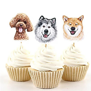 Animal Stickers 1'' Circle Labels Letters 500 Per Pack New Roll Handicraft Decoration Reward Sealing Cats Dogs Sticker Envelope Encourage Children's Gift (Animal)