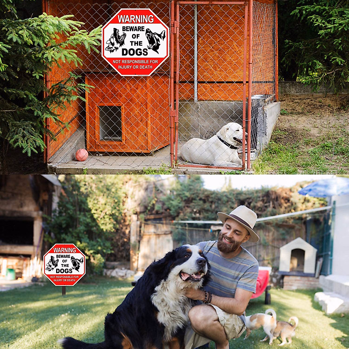 Beware of Dog Sign Reflective Highly Visible 12x12" Dog Warning Signs Beware of The Dogs Aluminum Warning Sign,2 Pack, Not Responsible for Injury Or Death , Business, Driveway Alert