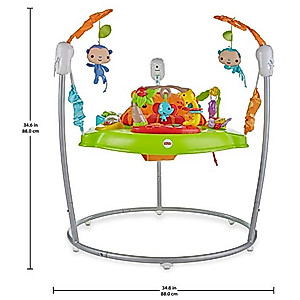 Fisher-Price Jumperoo: Tiger Time