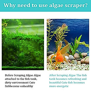 ZRDR Stainless Steel Algae Scraper Aquarium Cleaning Tool for Glass Aquariums, Including Algae Scraper, Sponge Pad, Fish Net, Cleaning Brush, Adjustable Length, Durable, Does Not Hurt The Fish Tank